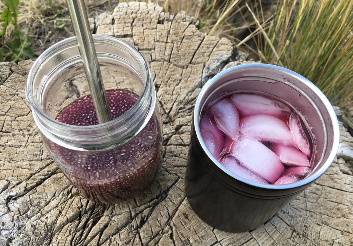 Oregon grape delight | Wild Food Girl