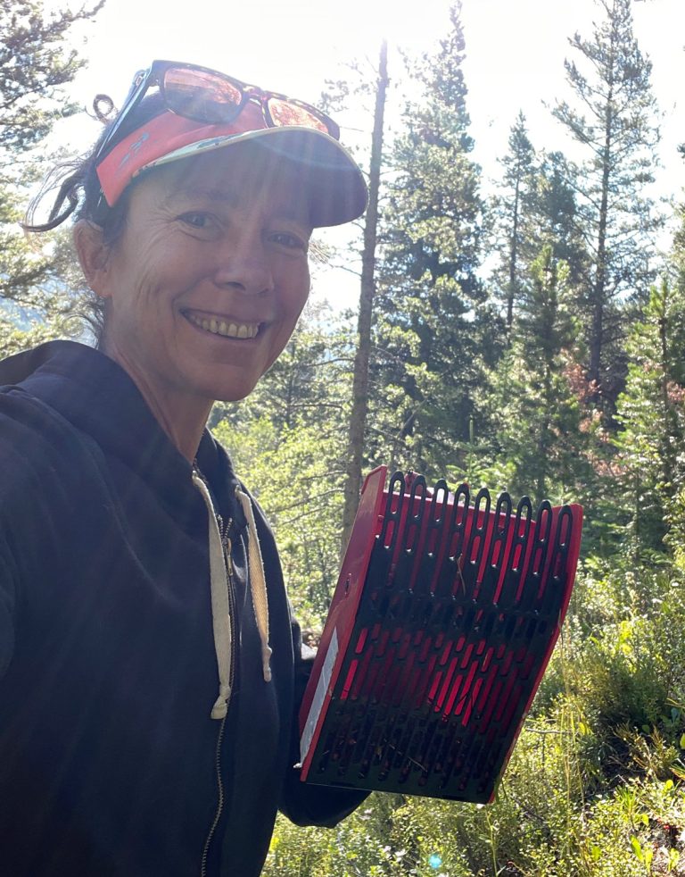 Huckleberry, billberry, whortleberry, grouseberry | Wild Food Girl